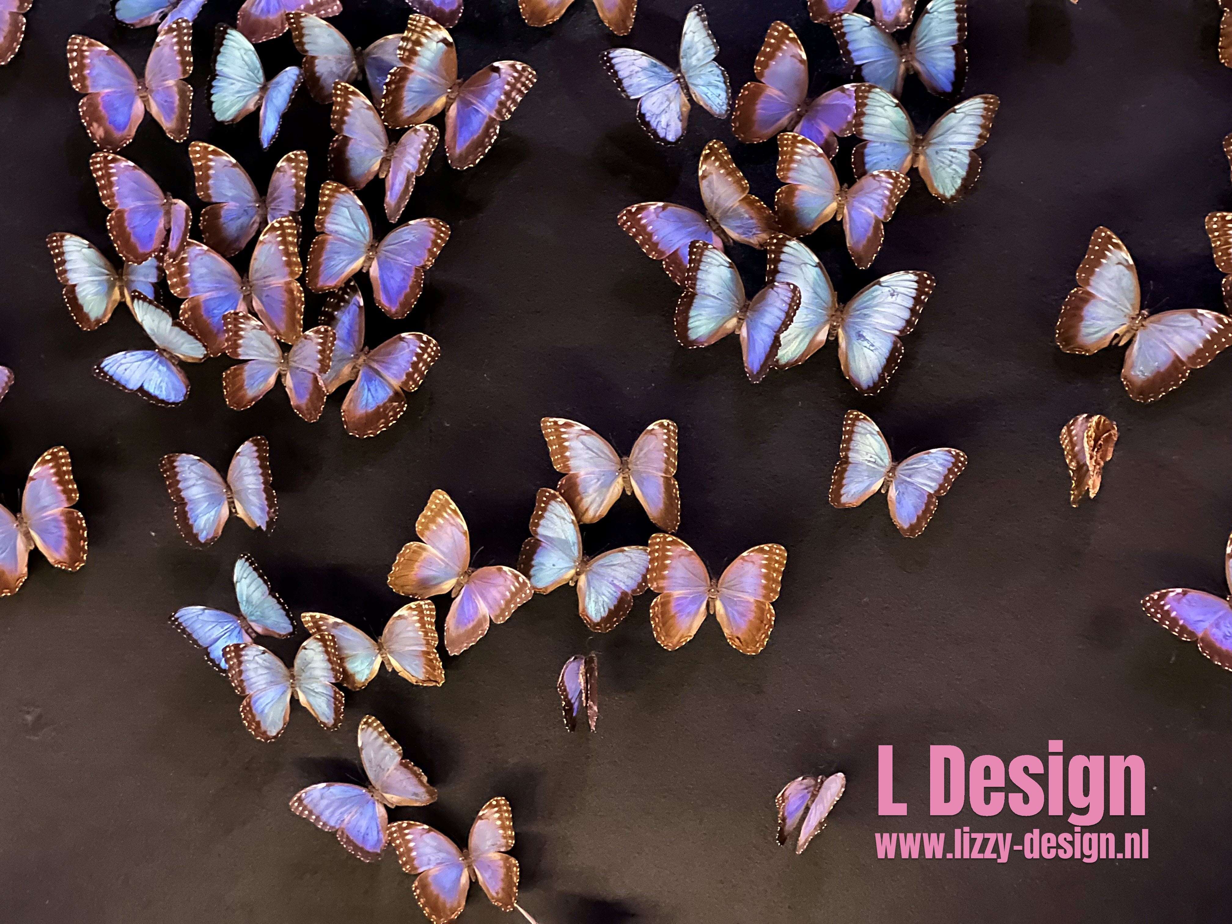 Lizzy Design webshop
